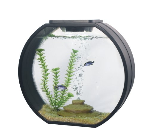 AA Deco O Mini Aquarium, Black | Shop | Pet Lovers Center