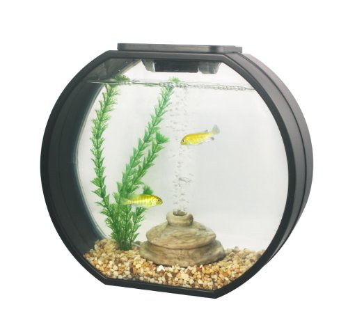 AA Deco O Mini Aquarium, Black - Pet Lovers Center