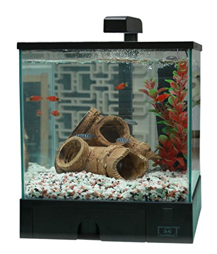 Aqua Box Glass Aquarium with High Power LED Lights - 1.5 Gallon - Pet ...