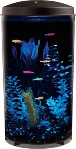 Aquarius Aq360-3g Gloview 3-Gallon Aquarium Kit - Pet Lovers Center