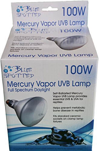 Blue Spotted Mercury Vapor Lamp (100 Watt) Provides Heat & Essential UVB & UVA For Reptiles ...