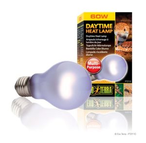 Exo Terra Sun-Glo Neodymium A19 Lamp, 60-Watt - Pet Lovers Center