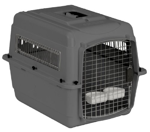 Petmate Sky Kennel for Pets from 25 to 30-Pound, Light Gray - Pet ...