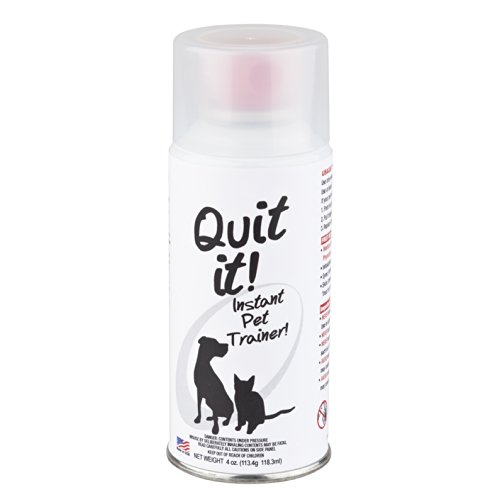 Quit It! DRP-PTS-1000 118ml Instant Pet Training Spray, 4-Ounce - Pet ...