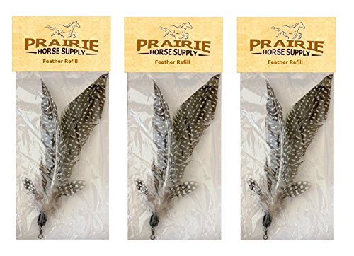 Replacement Refill Feathers for Da Bird GoCat ® Toy Feather Teaser Pole ...